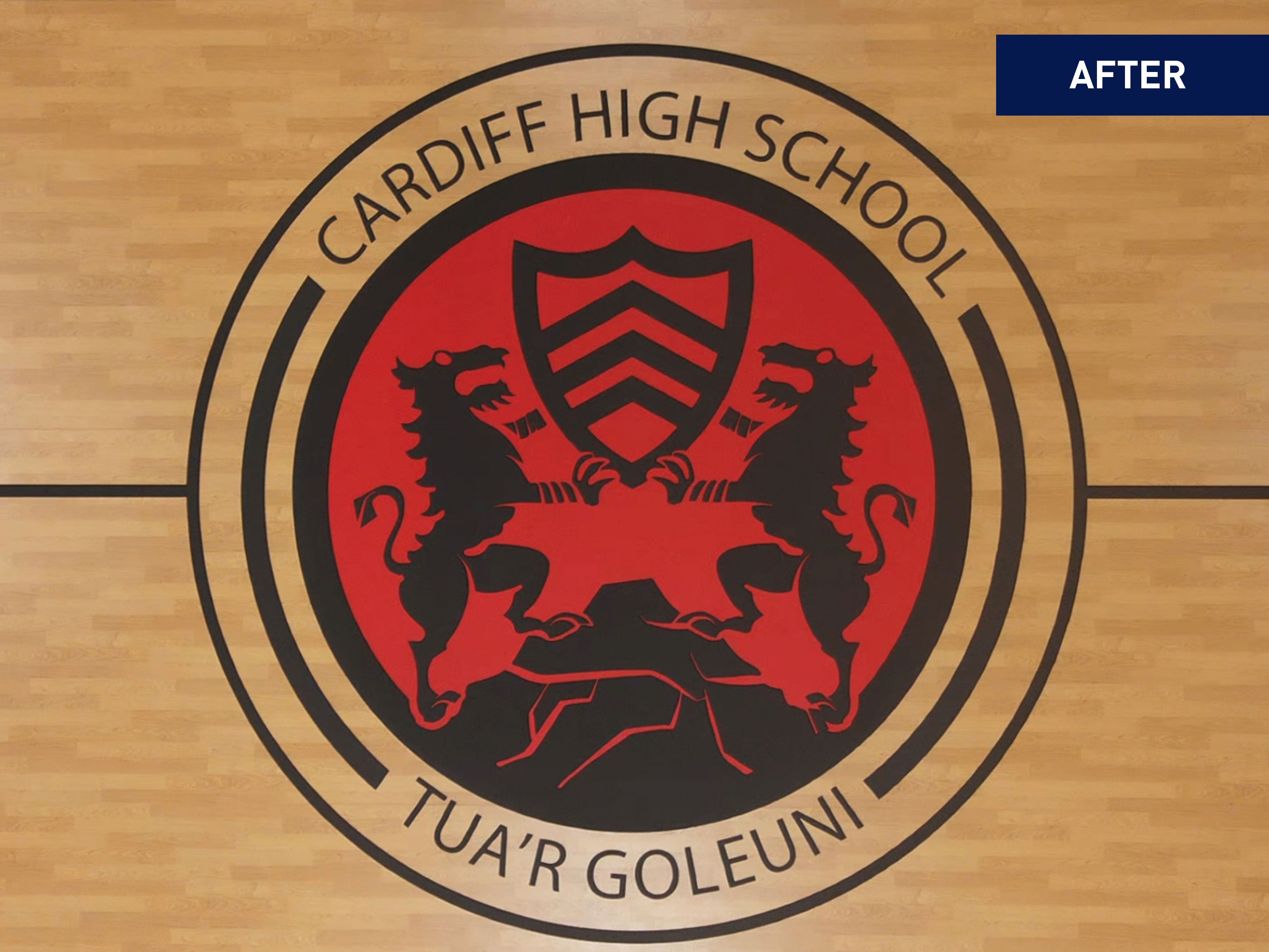 Sporting success at Cardiff High School with Taraflex® - Education ...